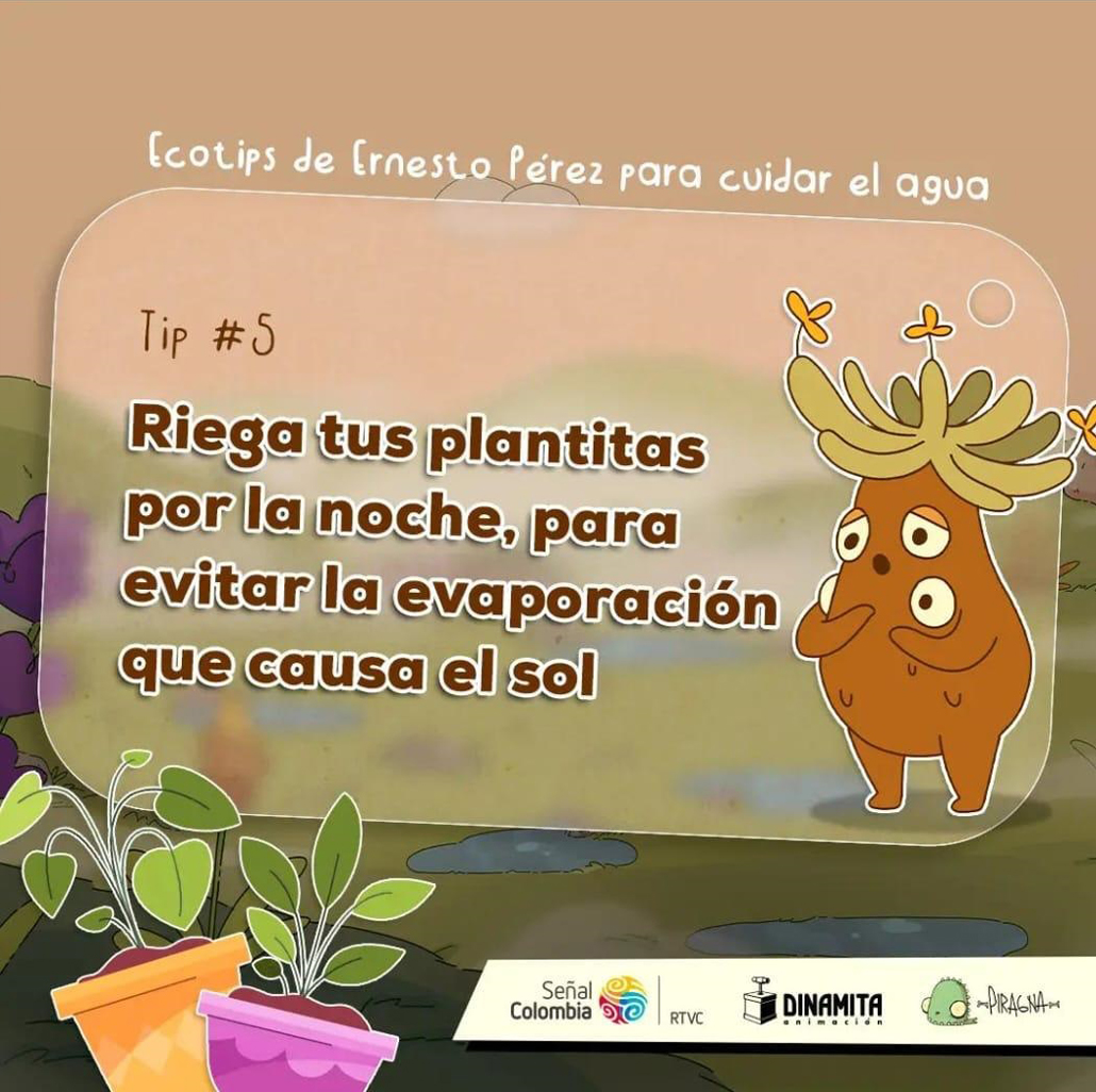 Castillo de san mateo | Home